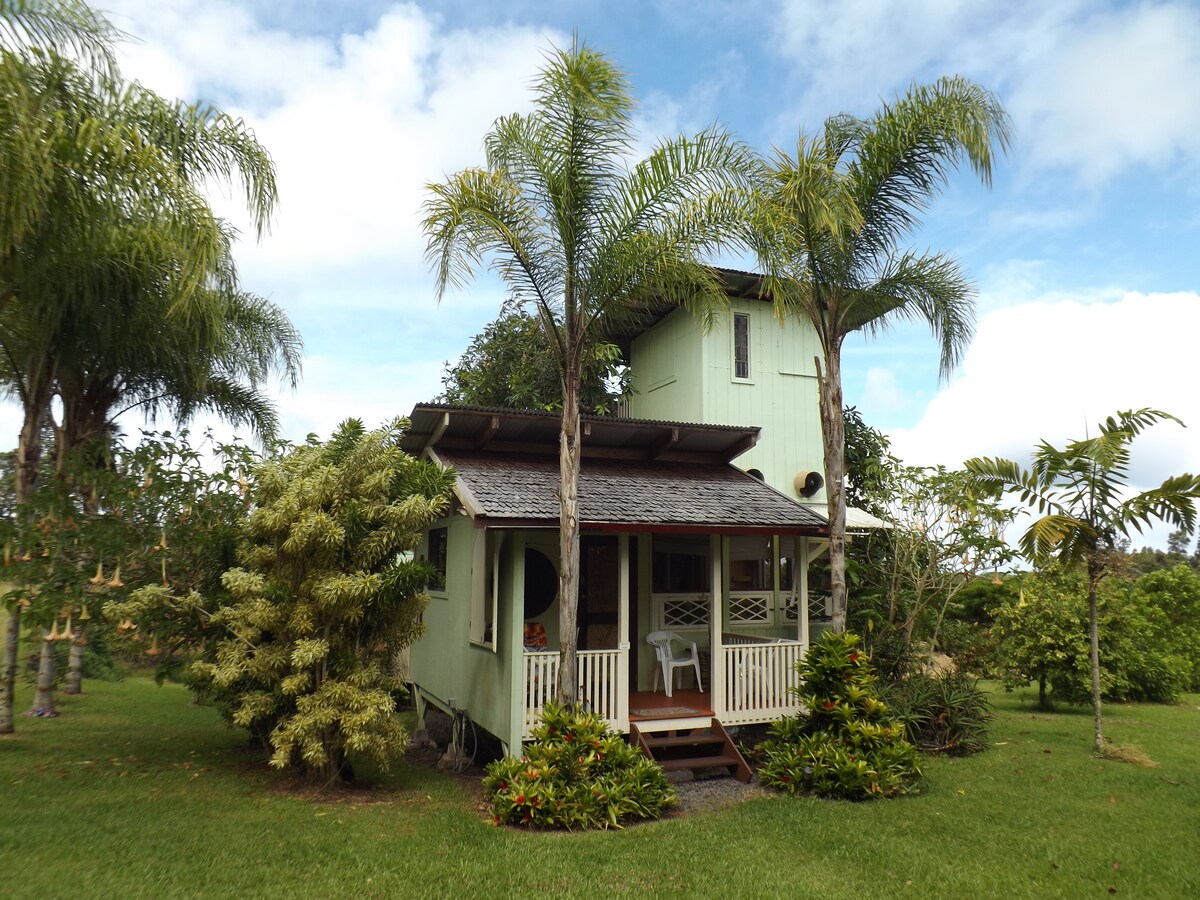Avocado Tree-House near Pahoa in Pāhoa