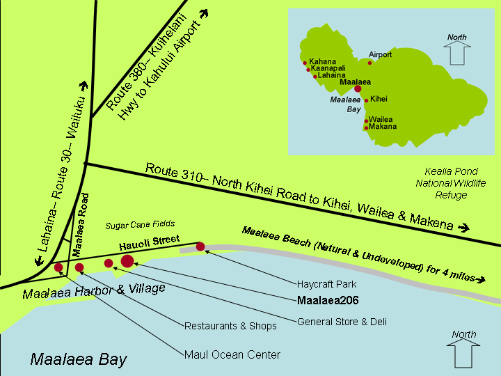 Oceanfront View, Immaculate 2-BR/BA in Wailuku