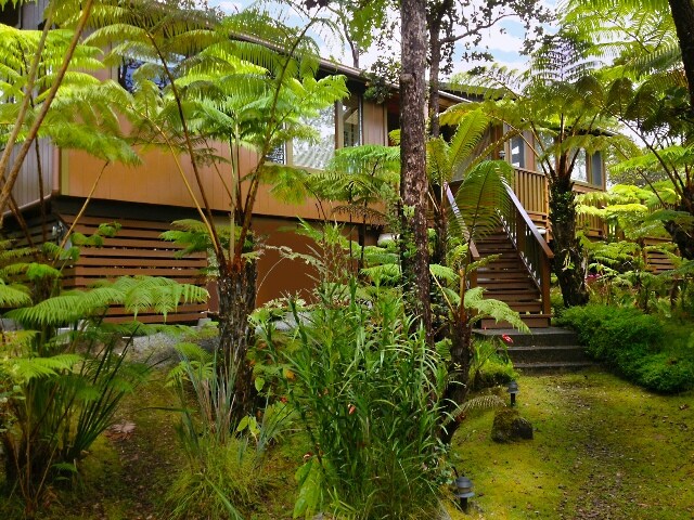 Secluded Cottage in Volcano Hawaii in Volcano