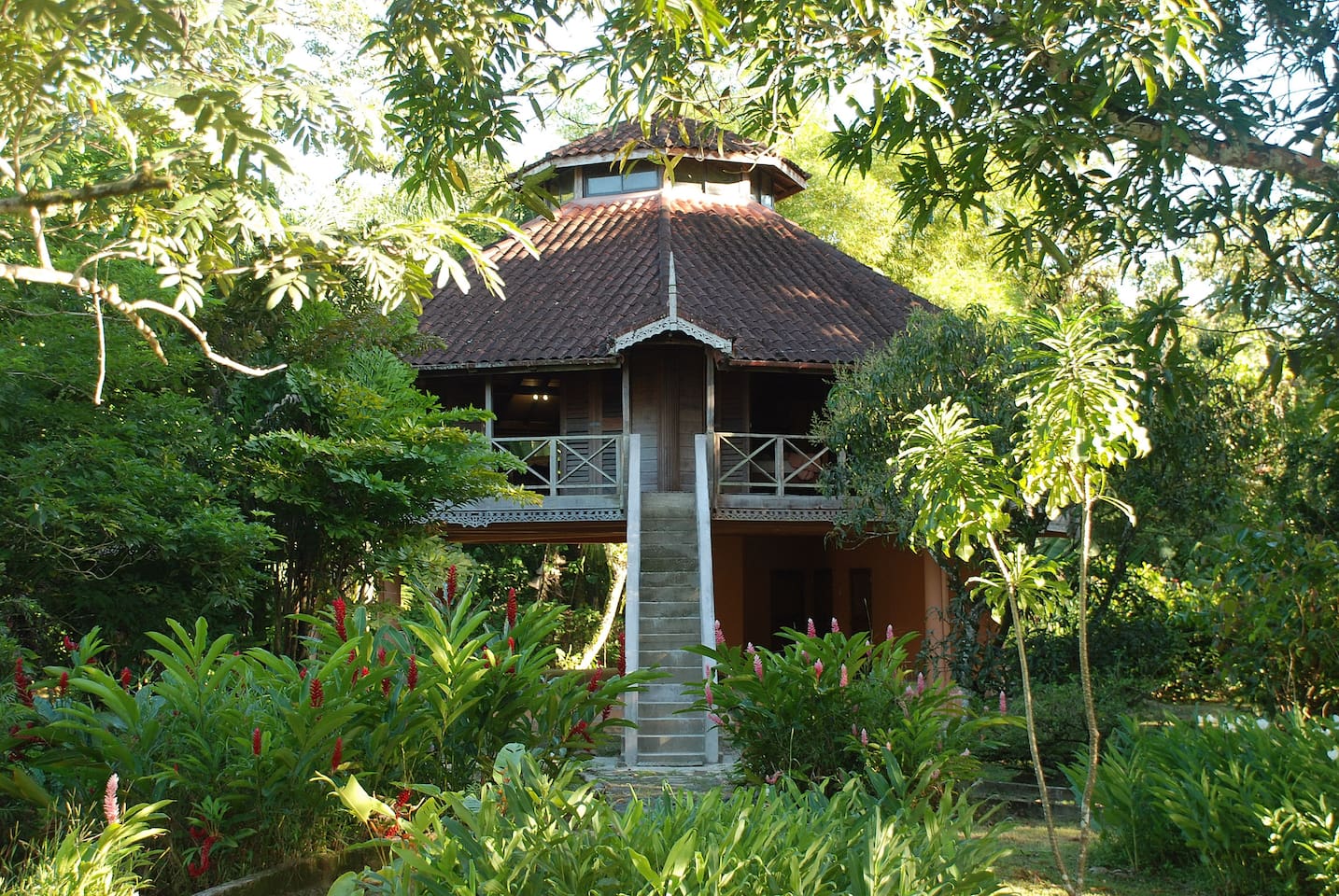 Beautiful treehouse in rainforest - Treehouses for Rent