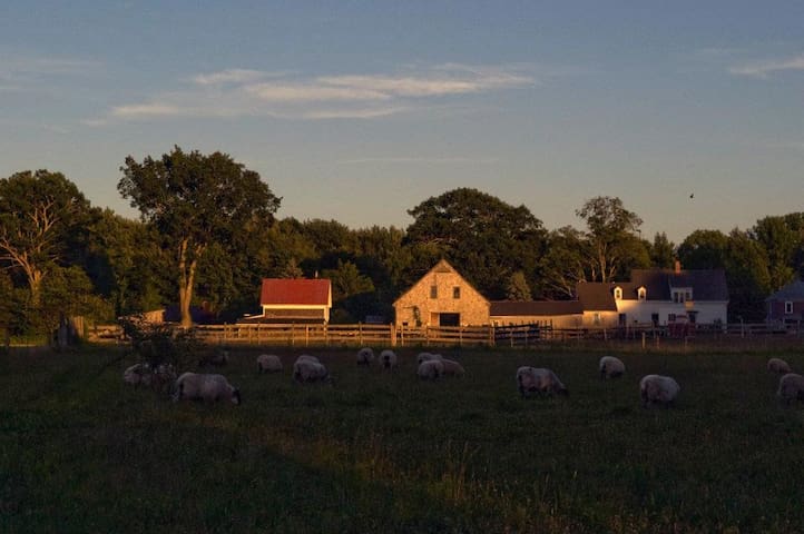 Apartment on Lily Brook Farm, Maine - Apartments for Rent in Hollis Center