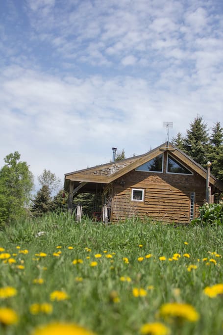 Little Cabin at Rocky Top Farms - Cabins for Rent in Ellsworth