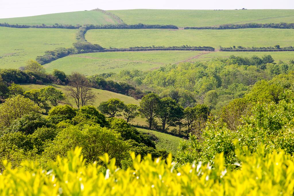 TREWARDEN - THE TREEHOUSE - Cabins for Rent in Crackington Haven