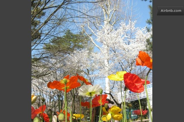 Todaki Korean Traditional House in Jongno-gu
